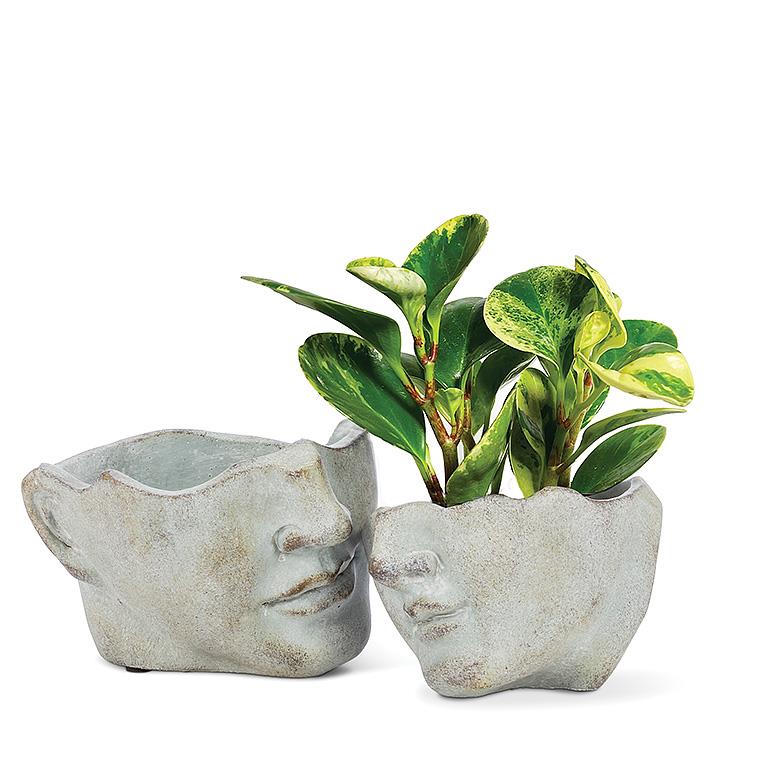Large Tilted Face Planter – Foxboro Fork in the Road & HBS Landscape ...