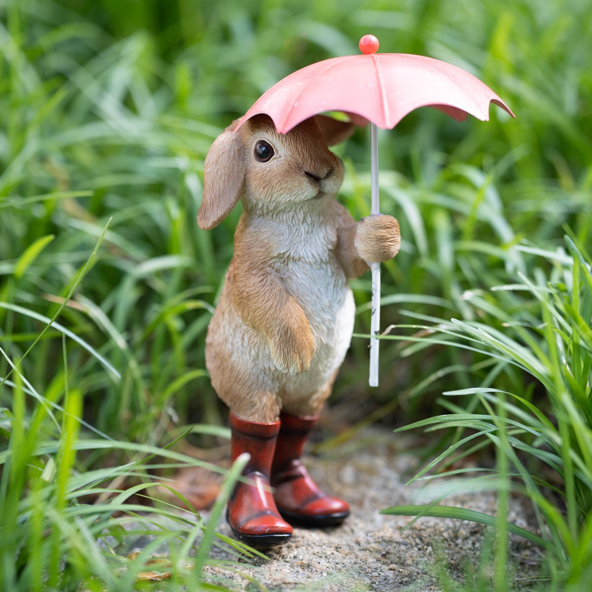 Rainy Day Rabbit, Boots – Foxboro Fork in the Road & HBS Landscape Supplies