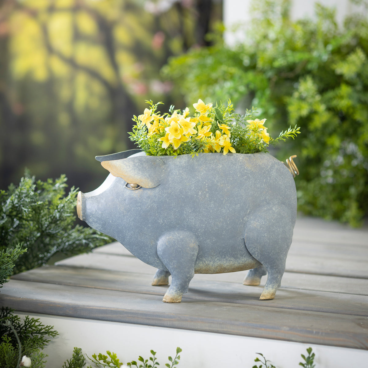 Grey Metal Pig Planter – Foxboro Fork in the Road & HBS Landscape Supplies