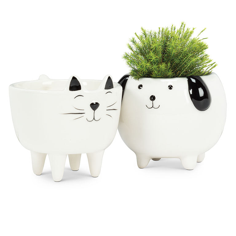 Small Cat Planter – Foxboro Fork in the Road & HBS Landscape Supplies