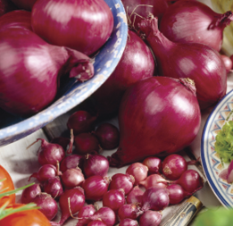 Karmen Red Onion Sets 80/pkg – Foxboro Fork in the Road & HBS Landscape ...